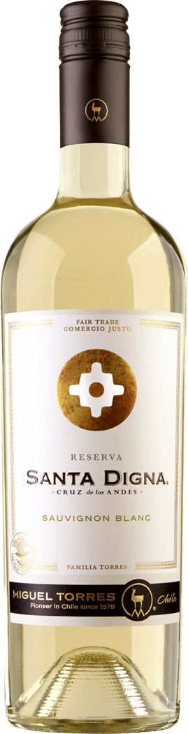 Torres Santa Digna Sauvignon Blanc Reserva 2023 – Vineshop24.de