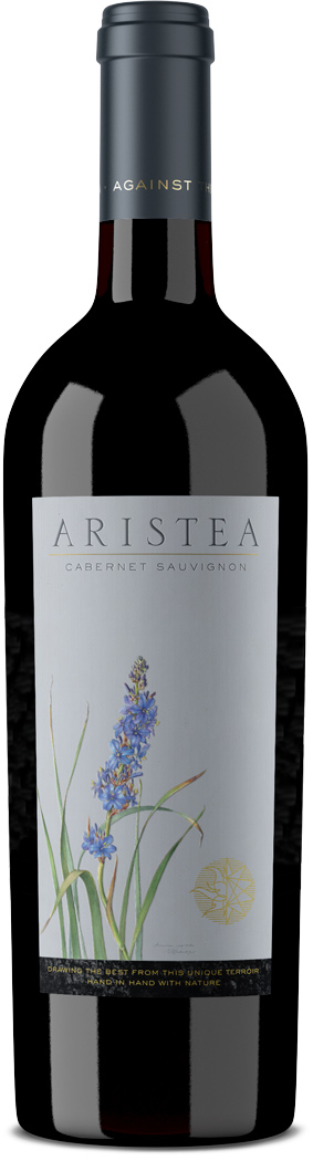 Cabernet Sauvignon aus Südafrika entdecken – Vineshop24.de